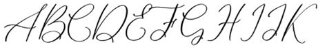 Hazel Shadow Regular Font Script Decorative What Font Is