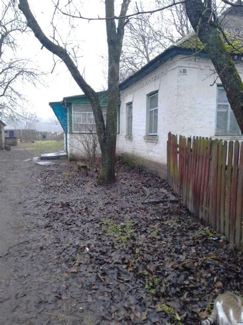 Продам будинок в Чернігівській обл село Нова Басань 200 000 грн