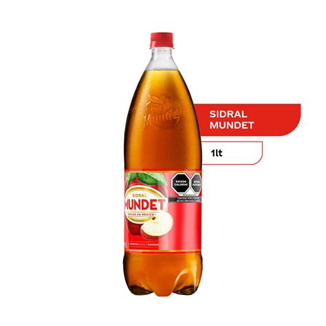 Sidral Mundet 1 L Cck