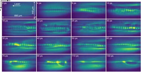 Electron Weibel Instability Induced Magnetic Fields In Optical Field