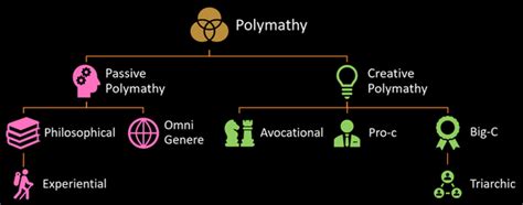 What Do Polymath Levels Actually Look Like