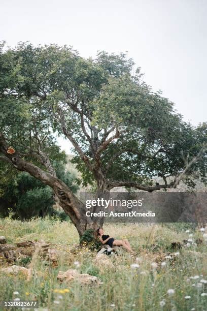 A Woman Lying Under The Tree Photos And Premium High Res Pictures