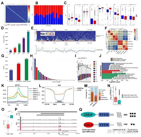 中国农业科学院深圳农业基因组所张兴坦研究团队在茶树三维基因组研究中取得新进展 知乎