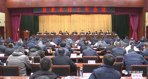 县委农村工作会议召开灵璧县人民政府
