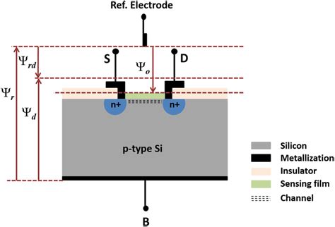 Schematic Of Isfet Indicating Potential Across Diffuse Layer 34