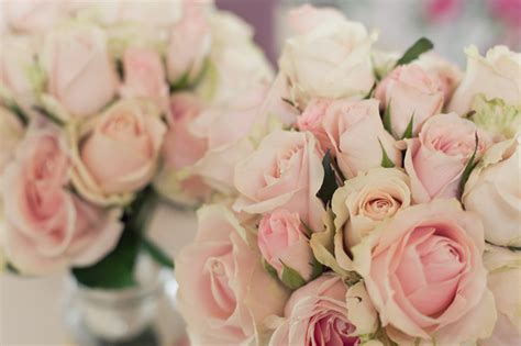 Hannah And Bretts Relaxed And Romantic Garden Wedding Easy Weddings
