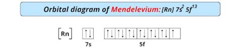 Mendelevium Periodic Table Element Information And More