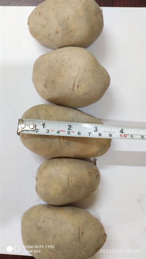 Stripesandgreenearthfoundation Dannytakhar Tapas Chowdhury