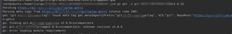 Cmd Go Unknown Revision Error Followed By Error Loading Module