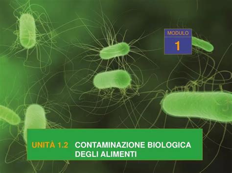 PPT UNIT À CONTAMINAZIONE BIOLOGICA DEGLI ALIMENTI PowerPoint Presentation ID