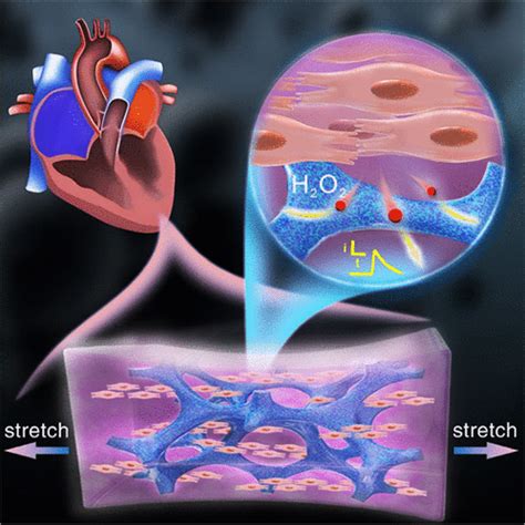 Analytical Chemistry Acs Publications