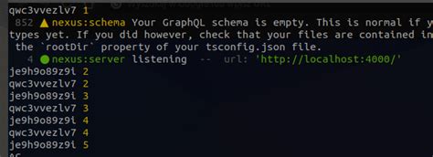 Prisma Graphql Why Nexus Dev Command Runs App Twice And How To Fix