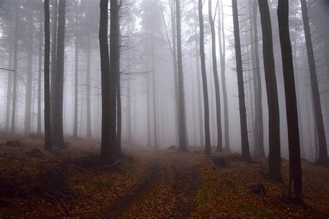 Hashmap In Java Essentials