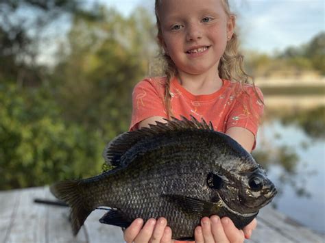 Okefenokee Swamp Georgia Outdoor News