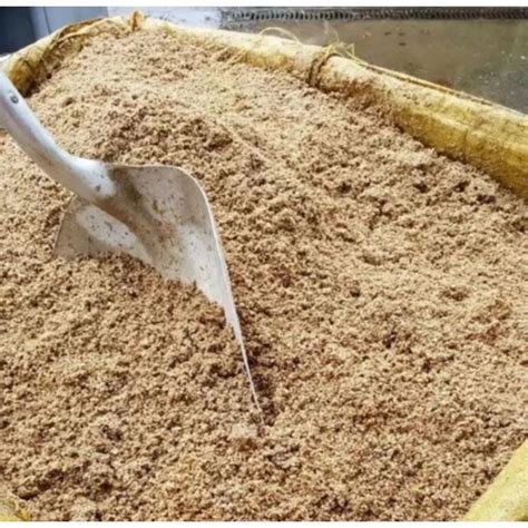 Keep In Dry Place Barley Spent Grain Silage Packaging Type Loose At
