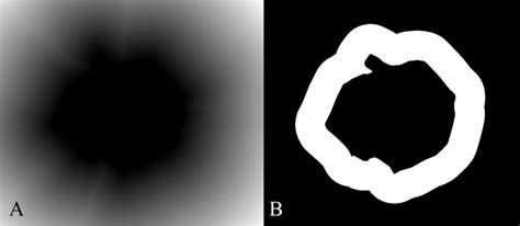 Illustration Of The Automated Algorithm For Roi Extraction A Visual Download Scientific