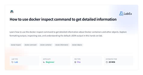 How To Use Docker Inspect Command To Get Detailed Information Labex