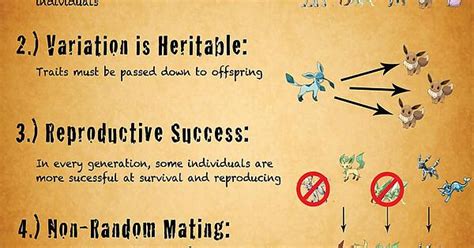 Darwins Observations Pokestyle Imgur