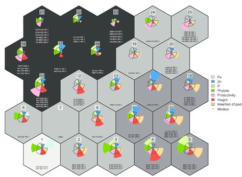 Self Organizing Map 5 Per 5 Of A Kohonen Neural Network For Data Of