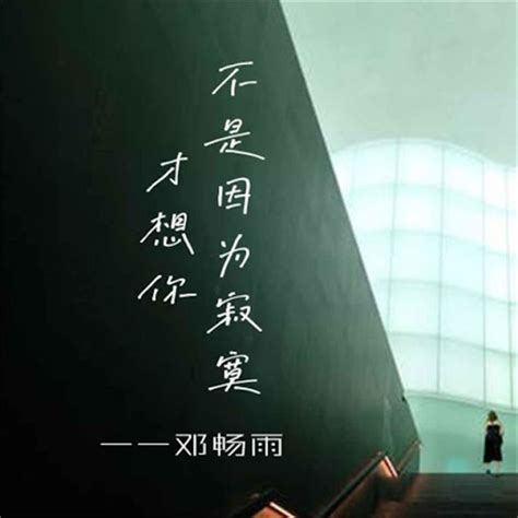 不是因为寂寞才想你 温柔版 Youtube Music
