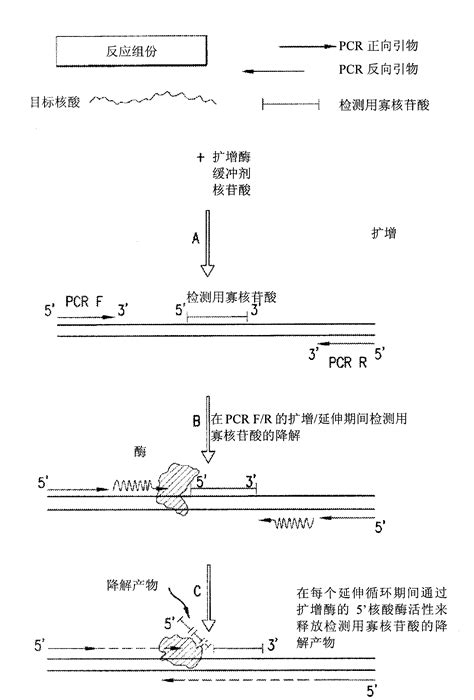 detection and quantification of biomolecules using mass spectrometry