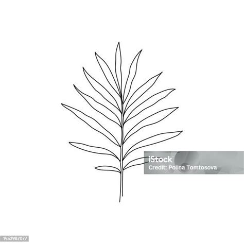 라인 베이 월계수 잎 분기 예술 하나의 연속 라인 아트 장식 베이 월계수 잎 그리기 편집 가능한 획 단일 분기 요소 격리 검은색에 대한 스톡 벡터 아트 및 기타 이미지