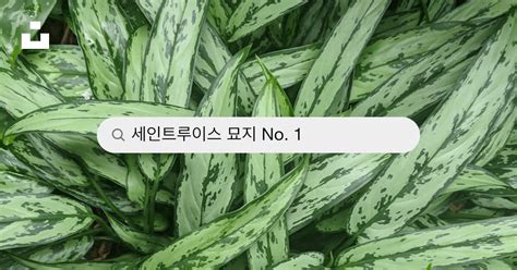 세인트 루이스 묘지 No 1 사진 Unsplash에서 무료 이미지 다운로드
