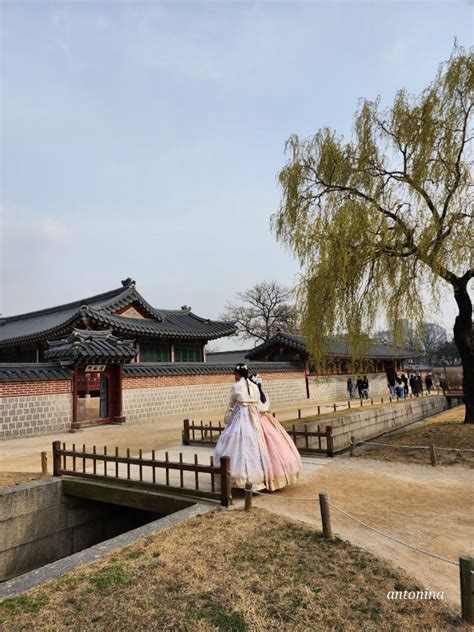 경복궁 한복대여 해서 경복궁 무료입장하기 경복궁 한복대여 가격 지지배배한복 2호점 후기 네이버 블로그