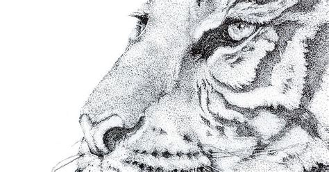 Heard Imgur Like Cats Heres One I Did In Pointillism Imgur