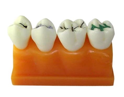 Model Educațional Um F17 Megasoft Systems Srl