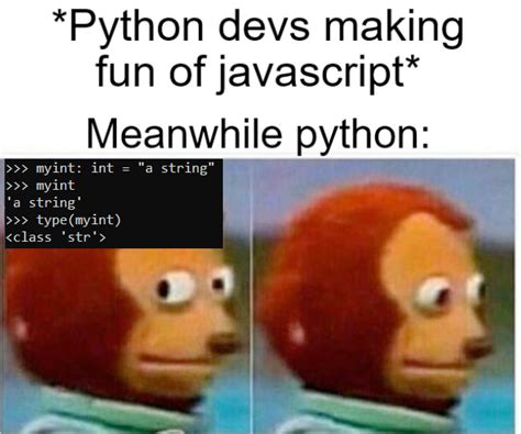 Programming Memes For Object Oriented Teens Type Hints Really Are