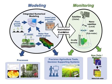 David Helman David Helman David Helman הלמן דוד דוד הלמן