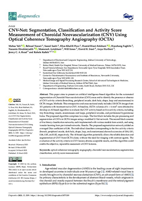 Pdf Ai Based Cnv Segmentation And Activity Scoring