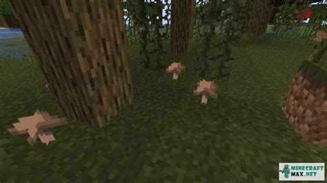 Mushroom Stew How To Craft Mushroom Stew In Minecraft Minecraft Wiki