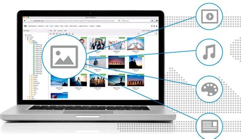 Best Digital Asset Management Solutions For Businesses