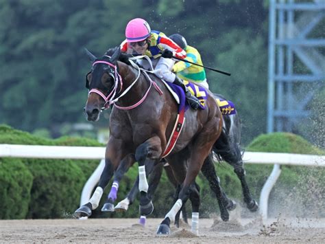 【佐賀・サマーチャンピオン結果】シャマルが2馬身差快勝で重賞2勝目、兵庫のコウエイアンカが2着に好走 競馬ニュース Netkeiba