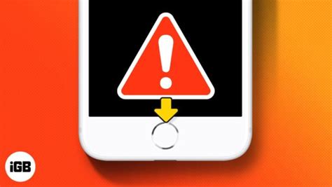 How To Fix IPhone Home Button Not Working IGeeksBlog