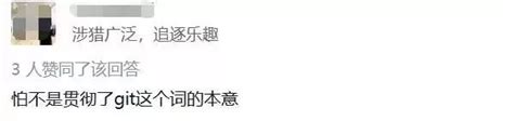 聊聊这个火爆github的女装大佬项目 Csdn博客