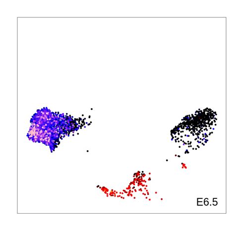 Stem Cell Variation And Embryonic Development