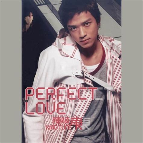 陈晓东 Perfect Love Chinese Album Art