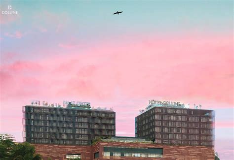 Colline Dalat Giá Giảm 30 Ảnh And Review Chân Thật