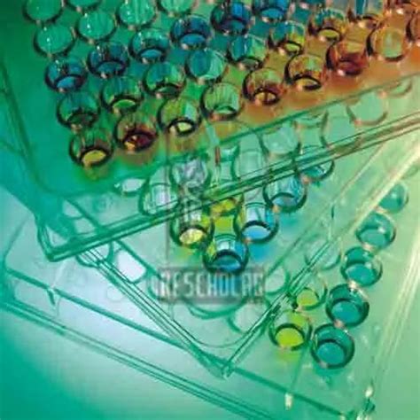 Sorting Tray At Best Price In Ambala By Rescholar Equipment Id 6317854473