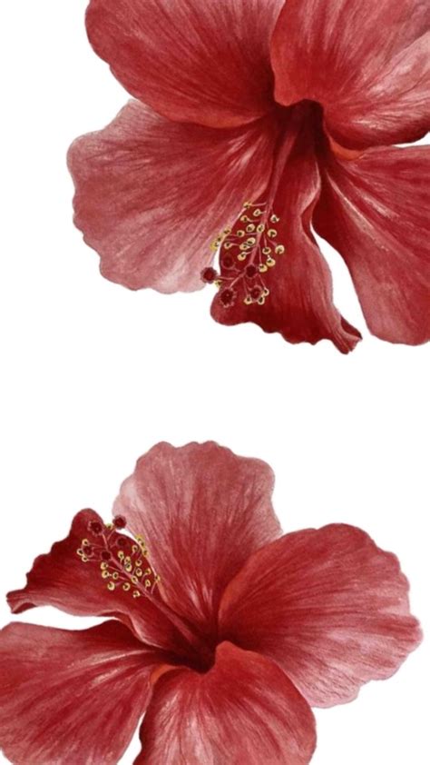 Pin Af Sundarsingh På Cute Sickers I 2025