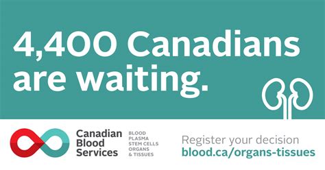 Expert Guidance Seeks To Improve Identification Of Potential Organ Donors Professional Education