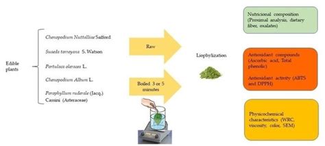 Does Boiling Vegetables Deplete Their Nutritional Value