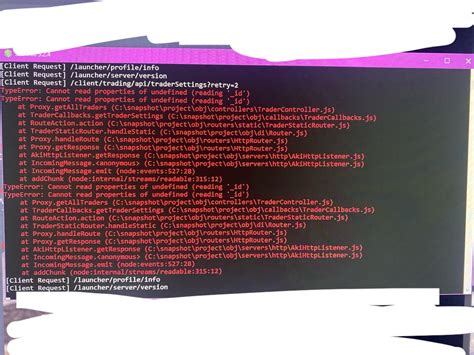 Game Just Sits On Loading Profile Data” After Getting This Message Any Help Rsptarkov