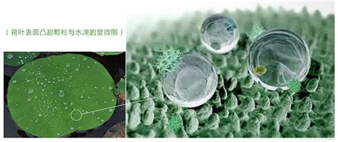 防水防油防污（三防）面料加工应用－染化在线