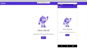 Net Mauimaui Hello World Gennull