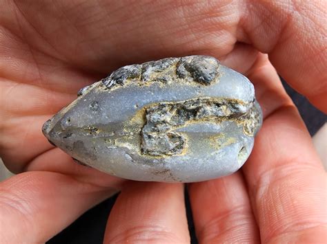 Assuming Agatized Clam Shell R Fossilid