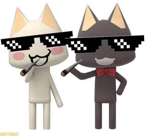Pin By 🐇 On Torotoro Wallpaper Iphone Cute Cute Icons Cat Icon